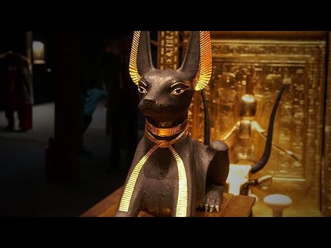 “Pet parents” and the cult of the dog - YouTube