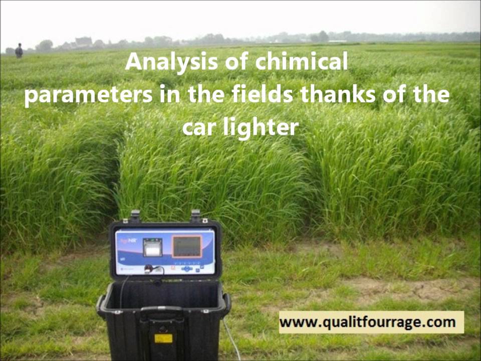 Green Forage analysis - YouTube