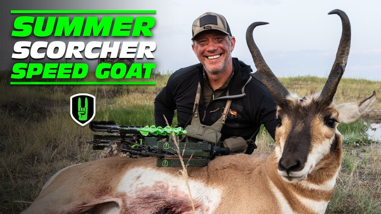 SUMMER SCORCHER SPEED GOAT WITH A BOW - YouTube
