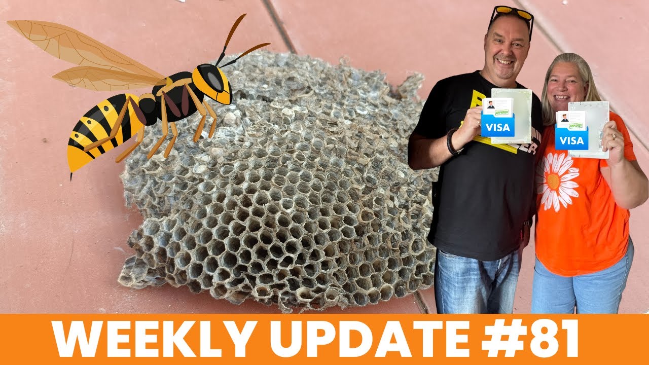 Anniversaries and Anaphylactic Shocks! | Weekly Update #81 | #upsticksspain - YouTube