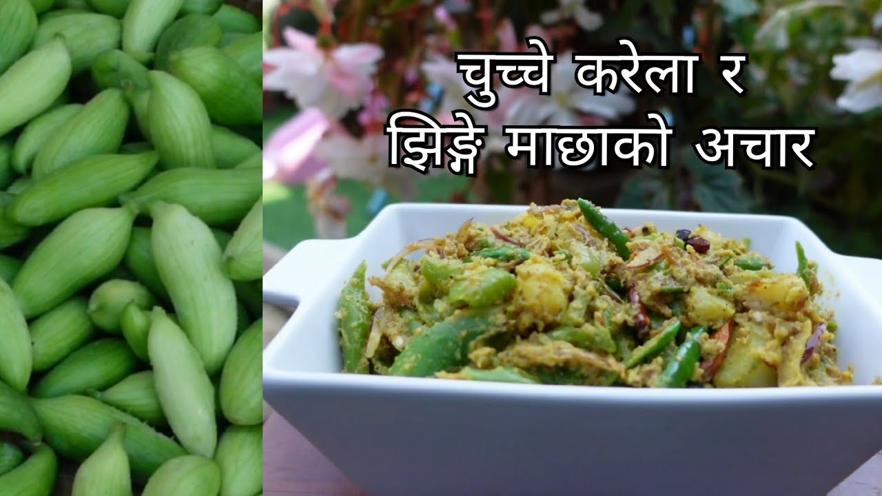 Pointed Gourd Recipe । चुच्चे करेला, आलु र झिङ्गे माछाको अचार । - YouTube