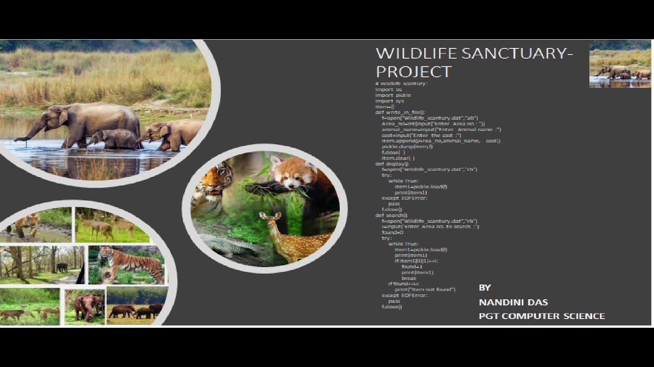 CSV BINARY || WILDLIFE SANCTUARY PROJECT | CLASS 12 COMPUTER SCIENCE ...