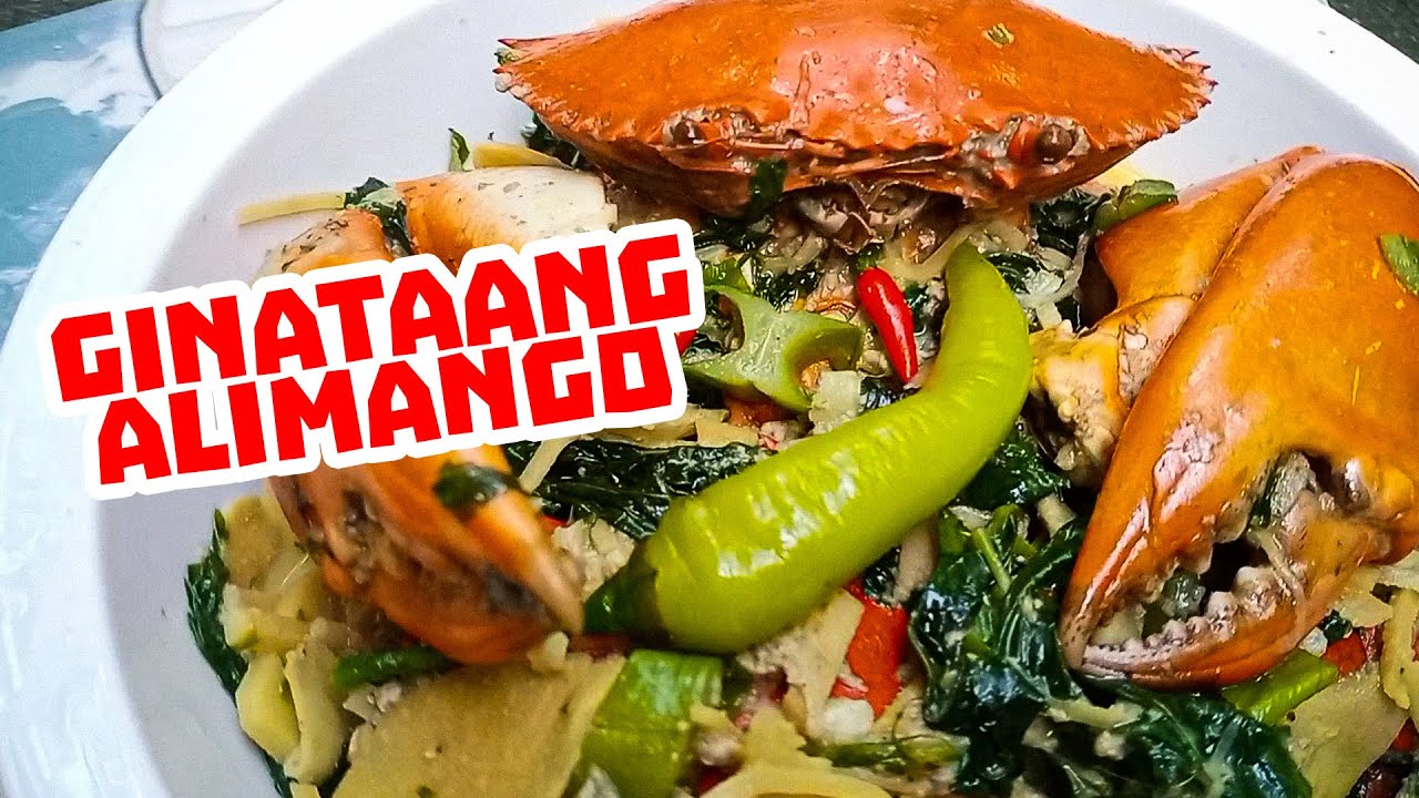 ALIMANGO NA MAY GATA - YouTube