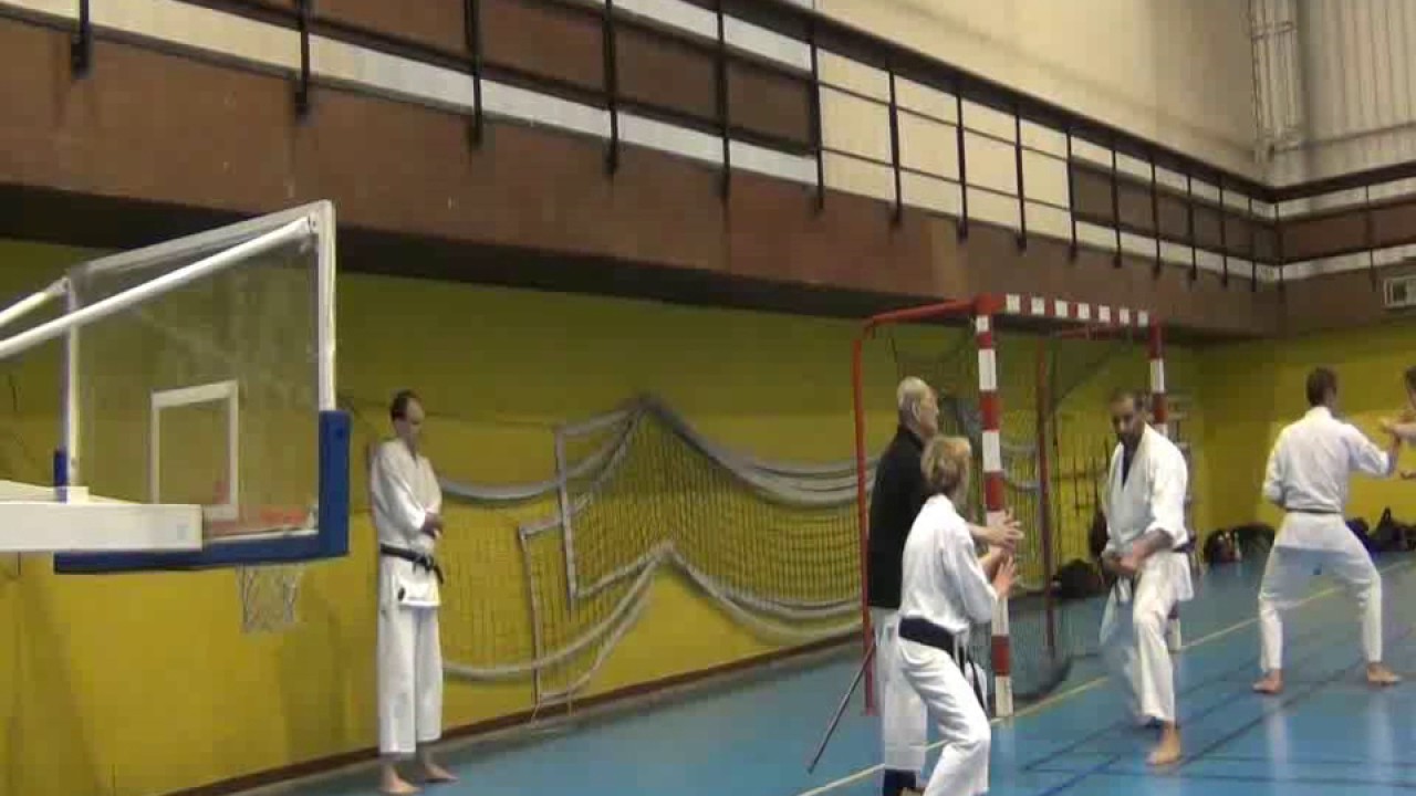 Stage international à Reims (18 Mars 2017) sous la supervision de ...