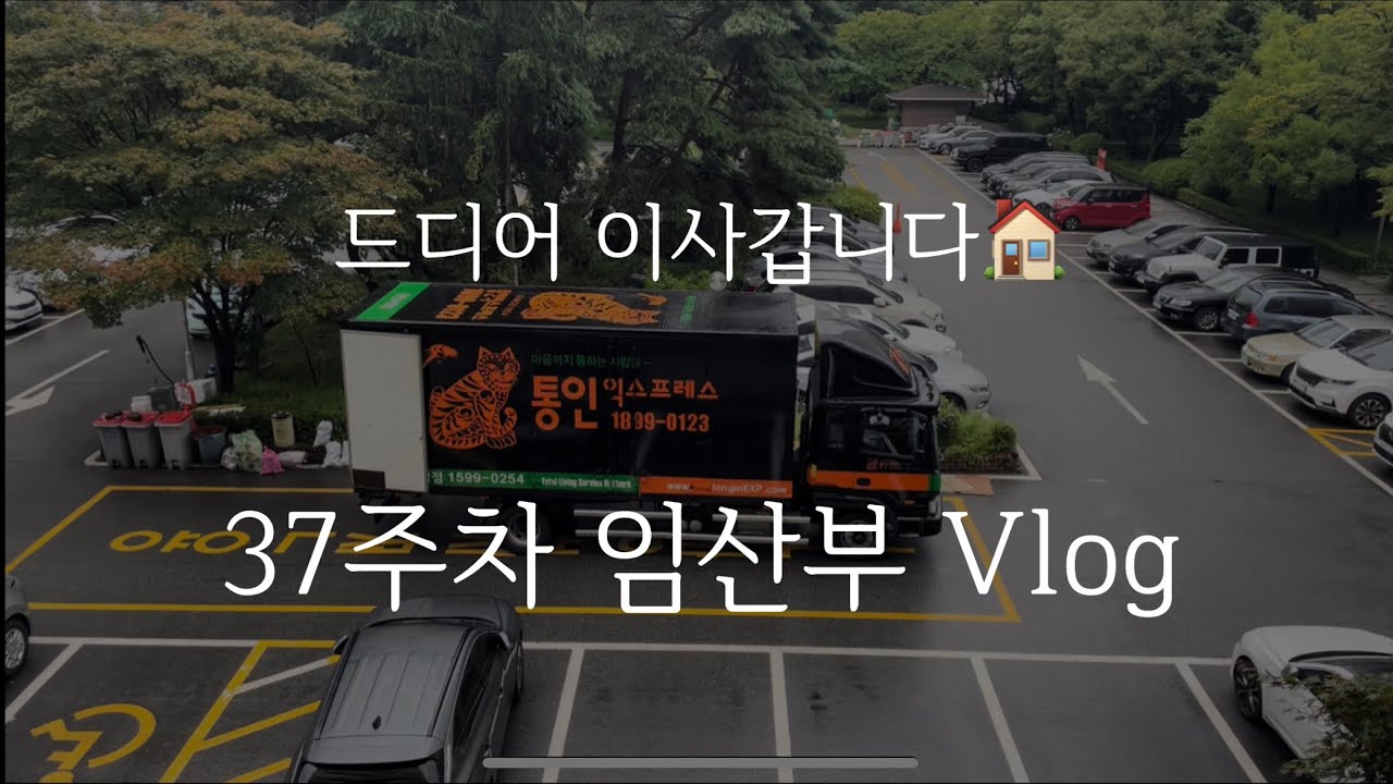 일상 Vlog 임신 37주차 드디어 이사 신혼집 안녕😂 이사 후 집 정리 아기방 정리 및 아기용품 맛보기👼🏻 매트