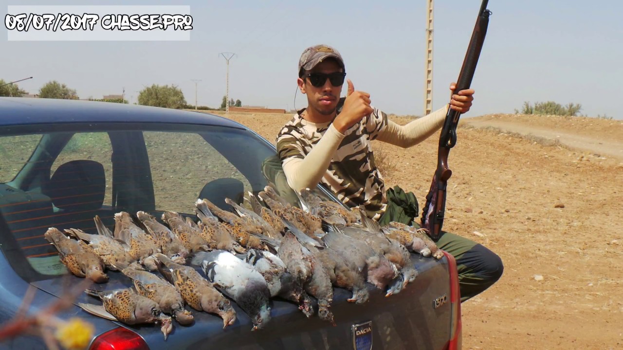 dove shooting 2017 - YouTube