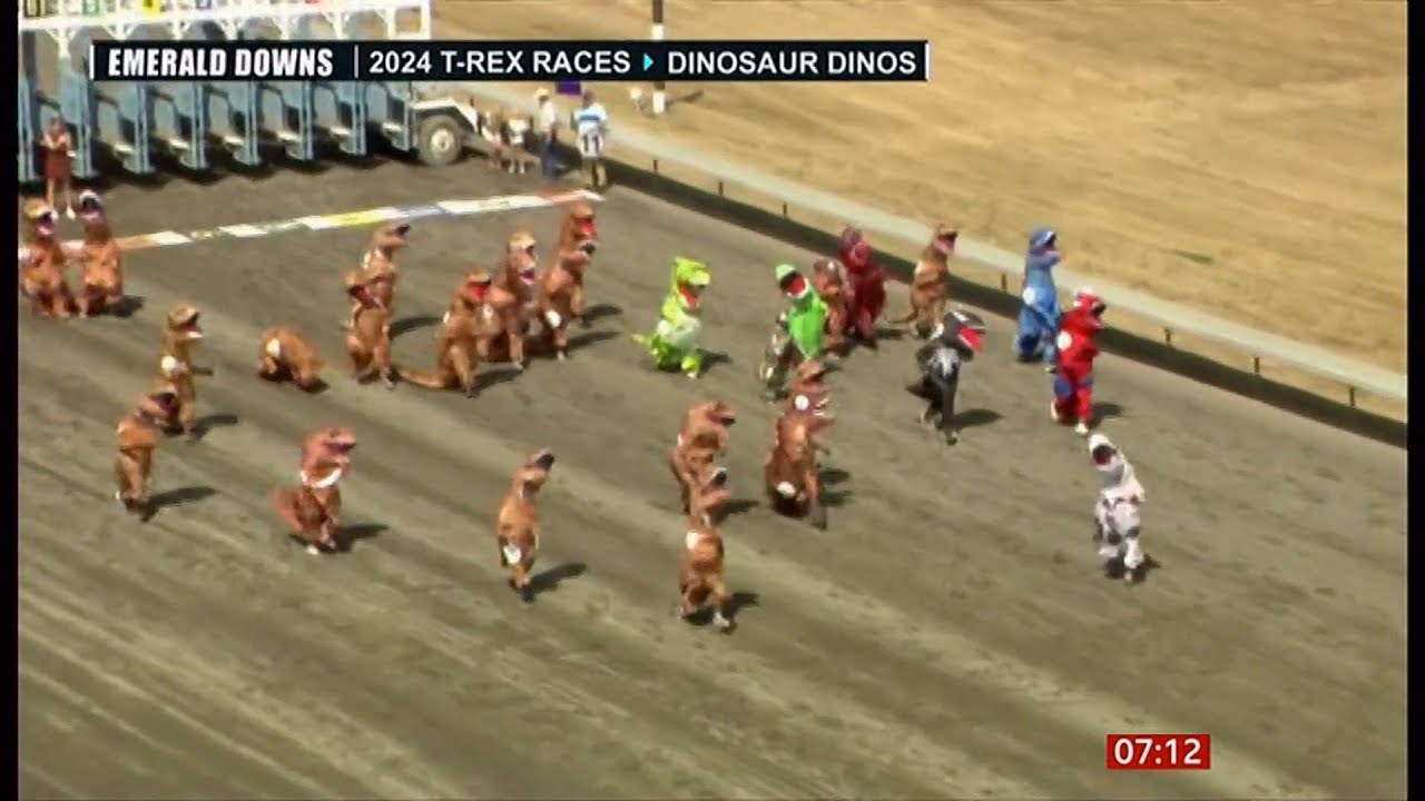 Coolest T-Rex races ever? Scenes from Emerald Downs dinosaur racing 😂 ...