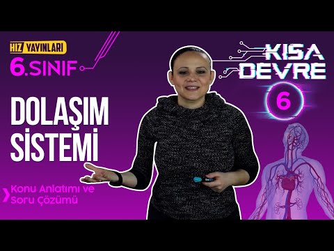 Dolaşım Sistemi Konu Anlatımı, Soru Çözümü (Animasyonlu) 6. Sınıf Fen Konu Anlatımı 6. Ders