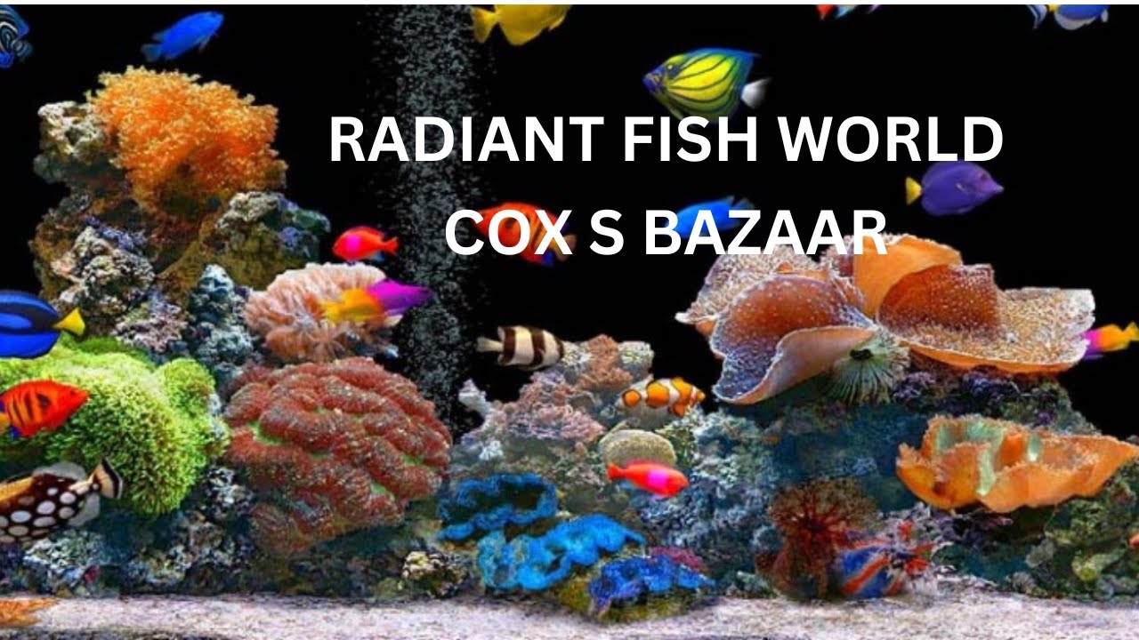 RADIANT FISH WORLD COX S BAZAAR #video #youtube #trending #nature # ...
