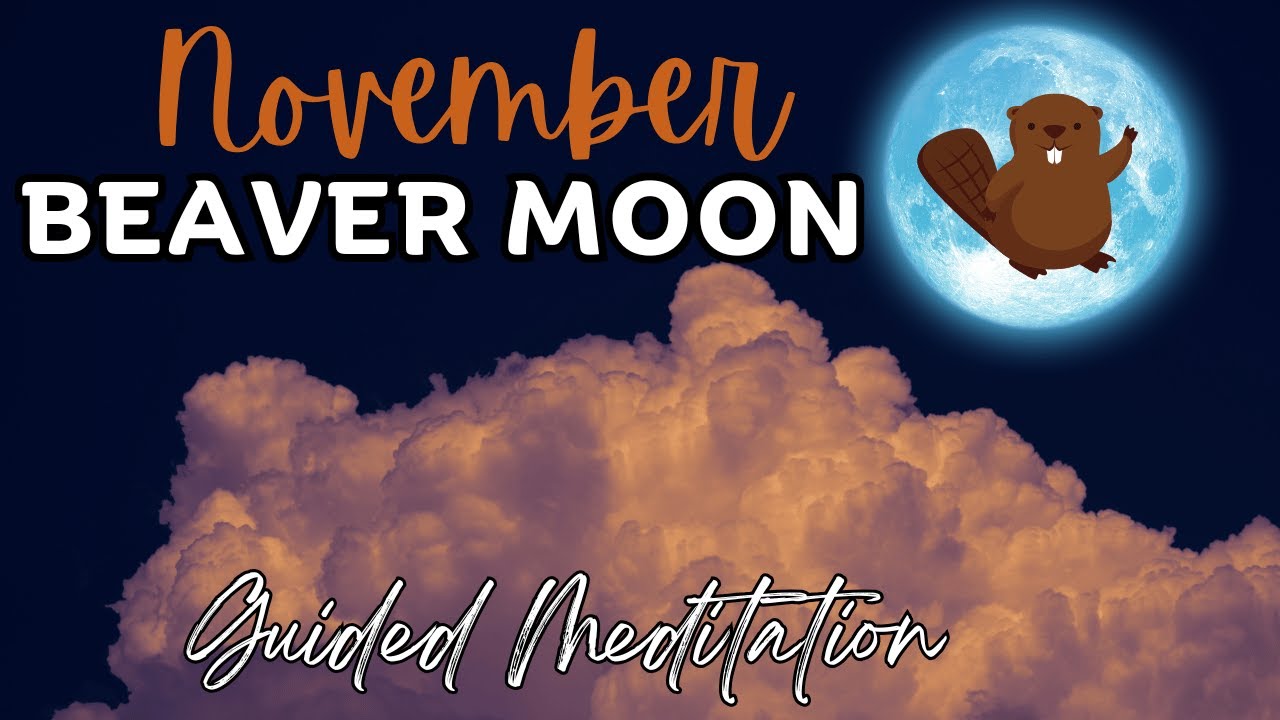 Connect With The Beaver Moon's Energy | Guided Meditation For ...