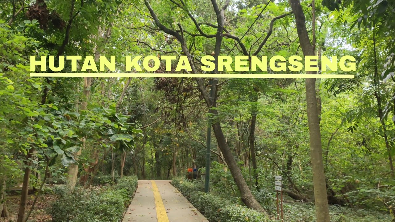 Evening walk in Srengseng city forest ~ sore menjelang malam di hutan ...