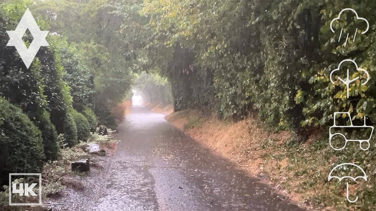 ASMR Walk in Heavy Rain, Sounds for Sleep and Study | 4K Video - YouTube