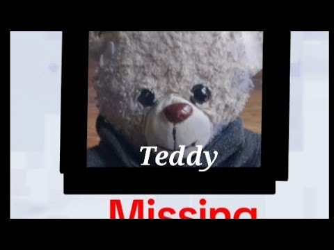 Teddy Goes Missing - YouTube