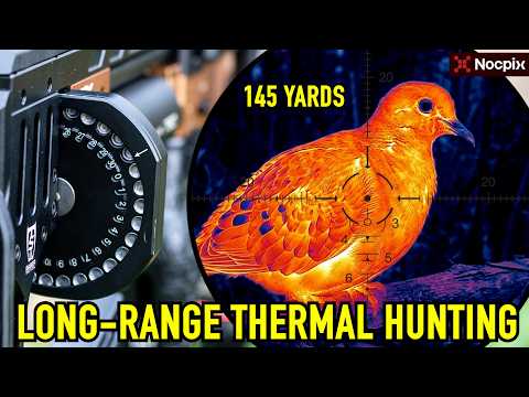 Long-Range Thermal Sniper | This is so cool! | FX Impact M4 | 33gr ZAN Slugs | Air Gun Pest Control