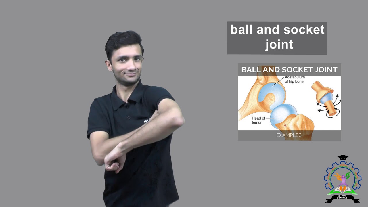 ball and socket joint - YouTube