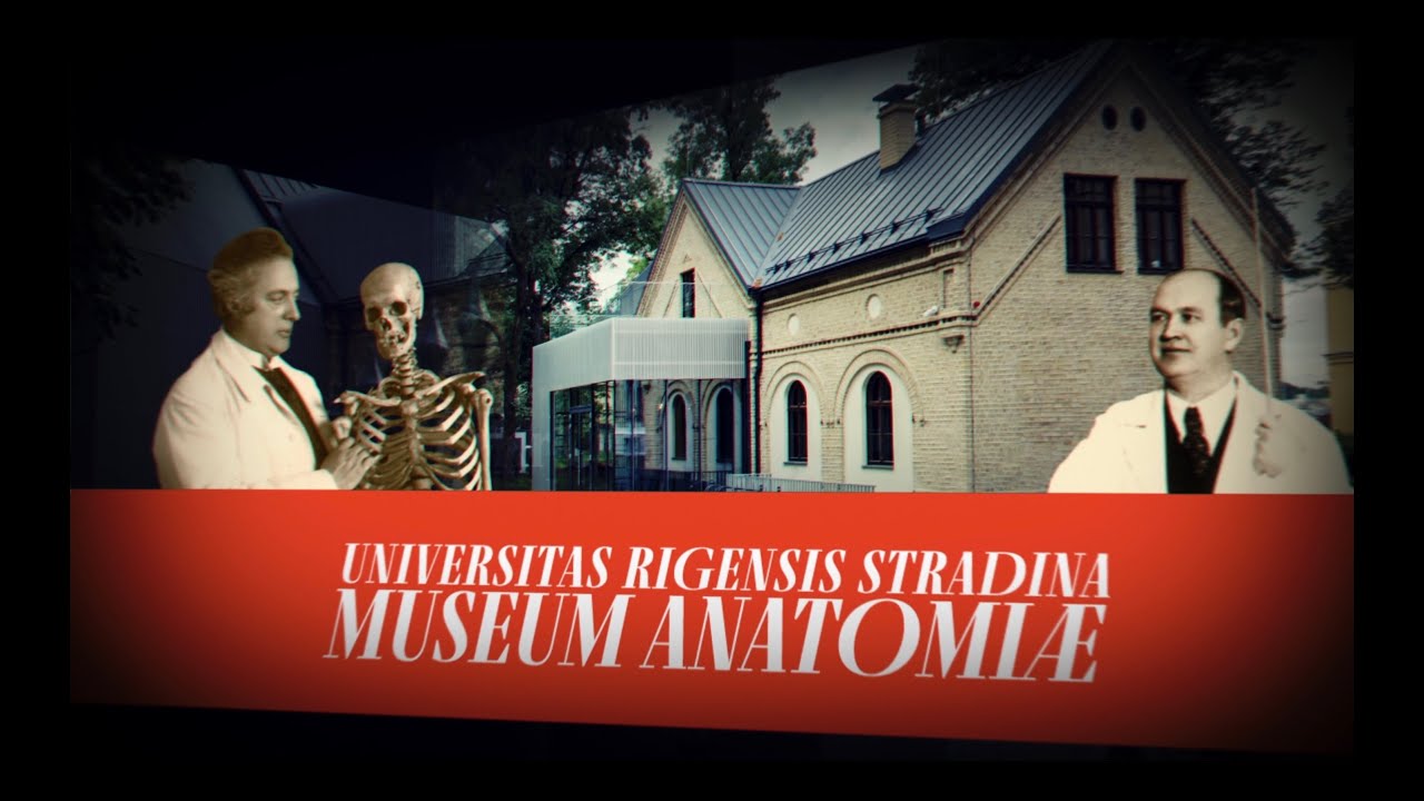 Riga Stradiņš University Anatomy Museum, EMYA2023 Nominee - YouTube