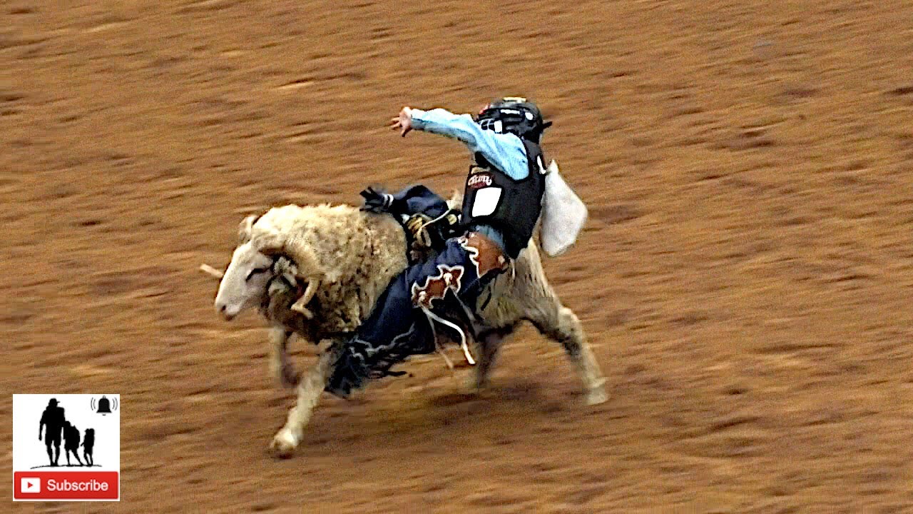 Mutton Bustin' - 2019 Junior Bull Riding National Finals #NJBRA - Round ...