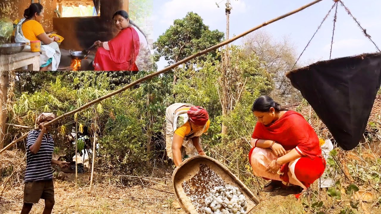 ऐसे इकट्ठा करते हैं लाल चींटी के अंडे/झारखंड ट्राईबल फूड/Jharkhandi ...