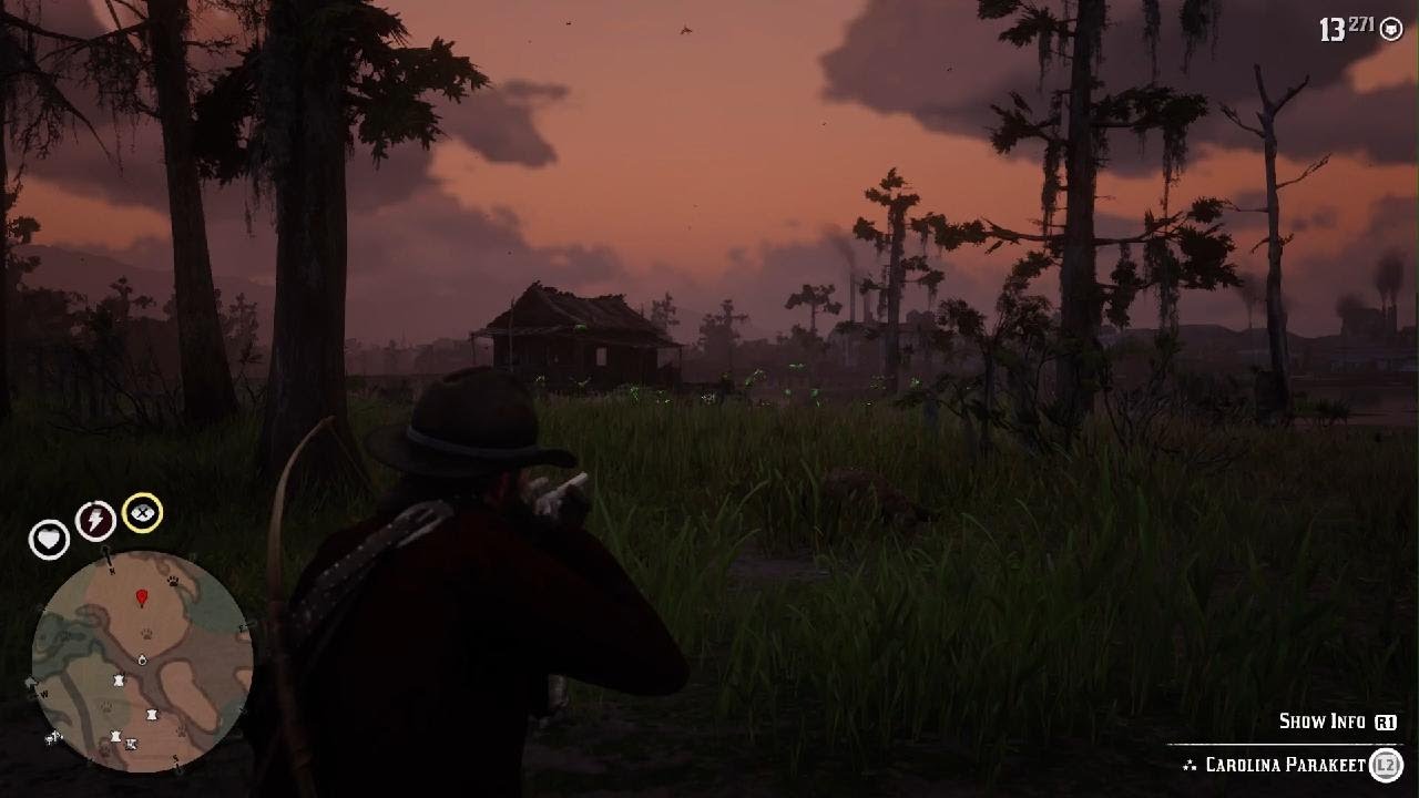 RDR2 Carolina Parakeets (178/178 Animals in Compendium at 100%) 2021/06 ...