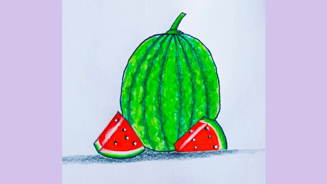How to draw Watermelon - step by step || Watermelon Drawing Easy - YouTube