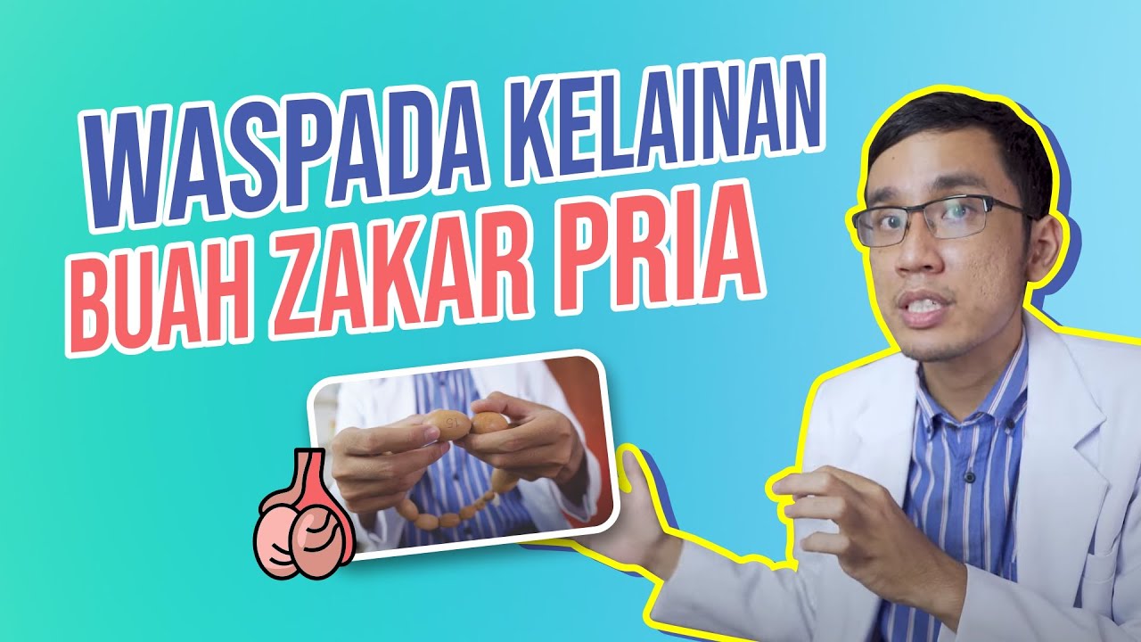 Mengenal Testis Pria Sehat - YouTube