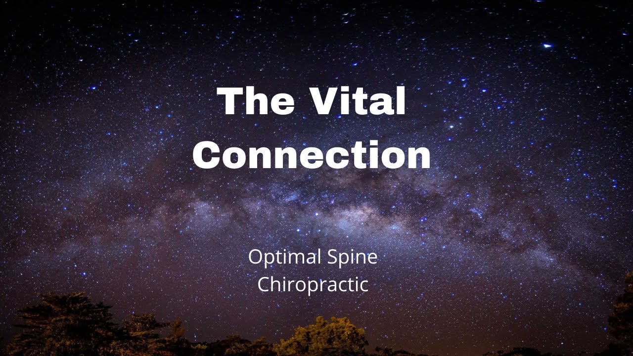 The Vital Connection - YouTube