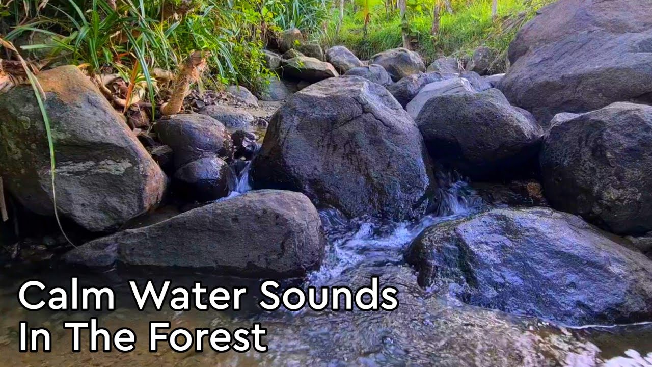 3 Hours Nature Sounds For Sleeping And Relax (Very Soft And No Music ...