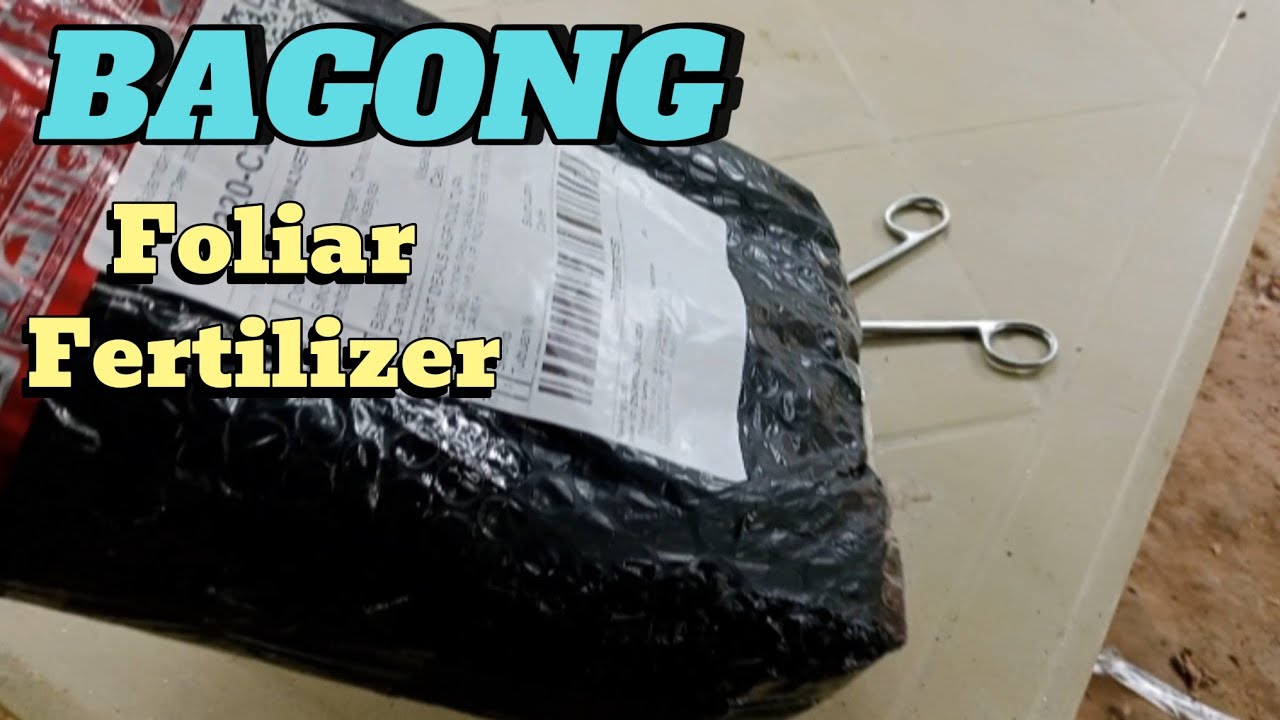 DUMATING NA ANG ORDER KO PARA SA TALONGAN - YouTube