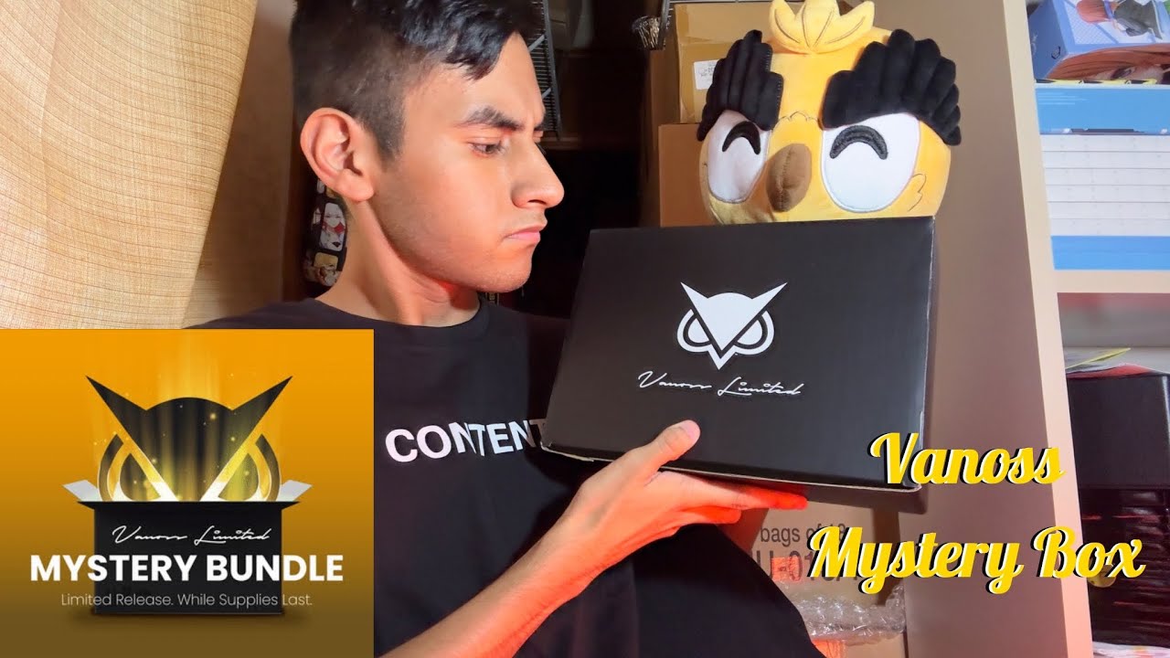 Vanoss Mystery Box Unboxing (2023) - YouTube