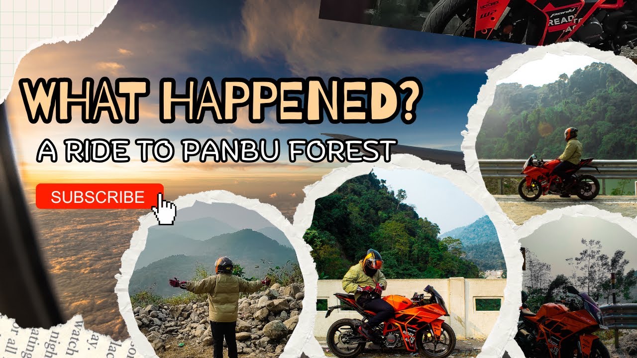 PANBU FOREST Kalimpong | Offbeat Place In North Bengal | NEW SHOES ...