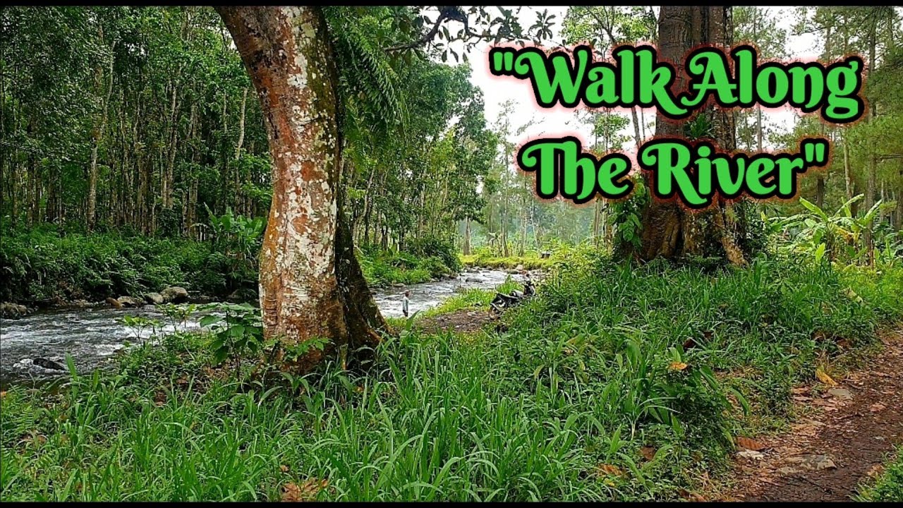 Berjalan Menelusuri Sungai Di Kaki Gunung Raung Banyuwangi | Walk Along ...