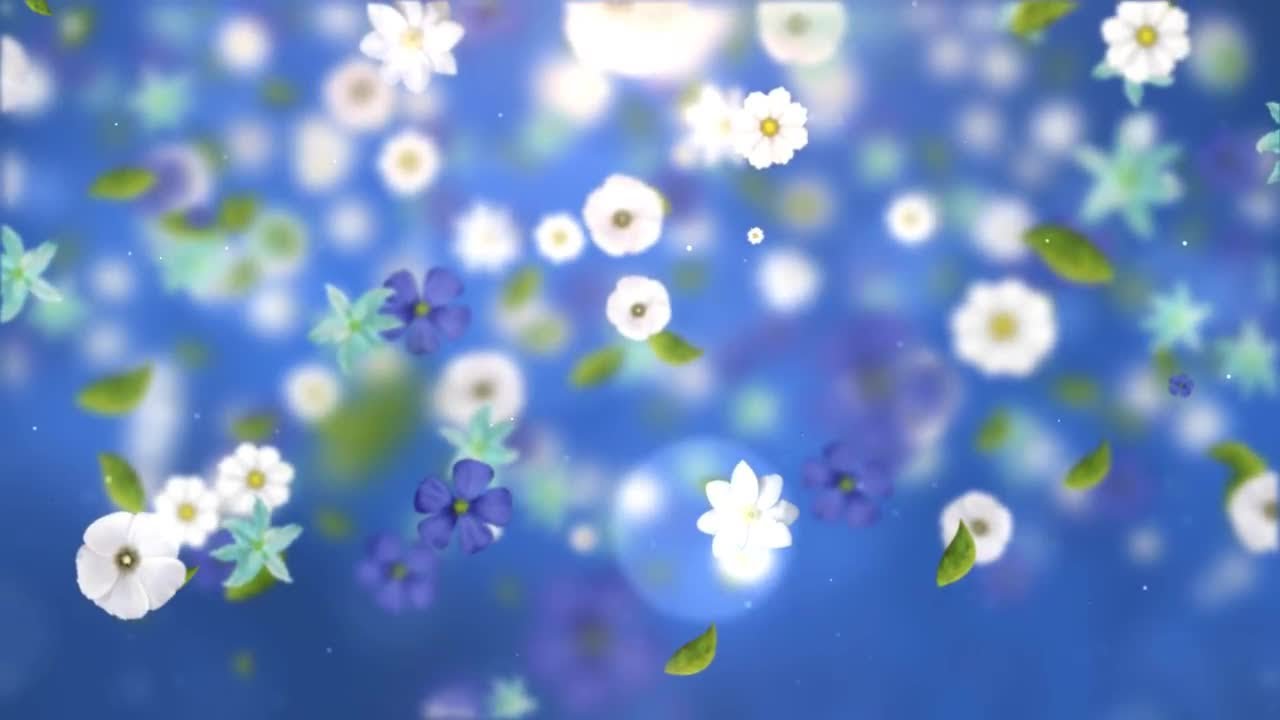 Rain of Flowers Background Stock Motion Graphics - YouTube