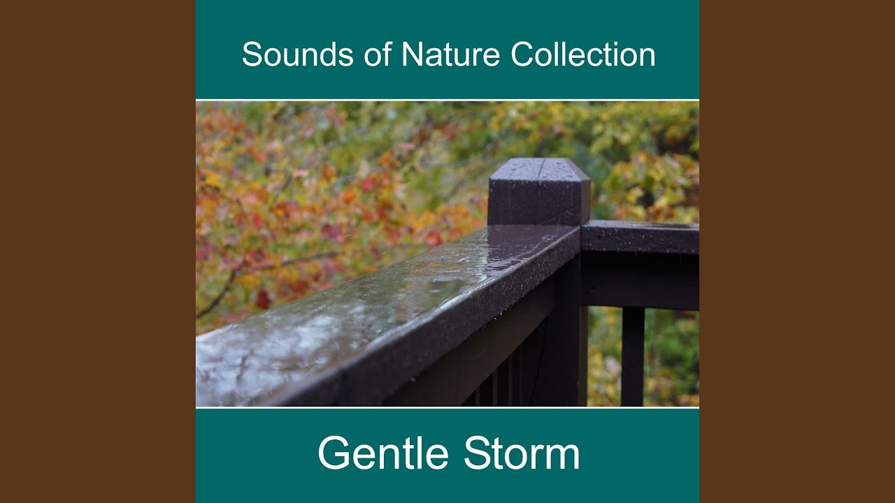 Gentle Storm - YouTube