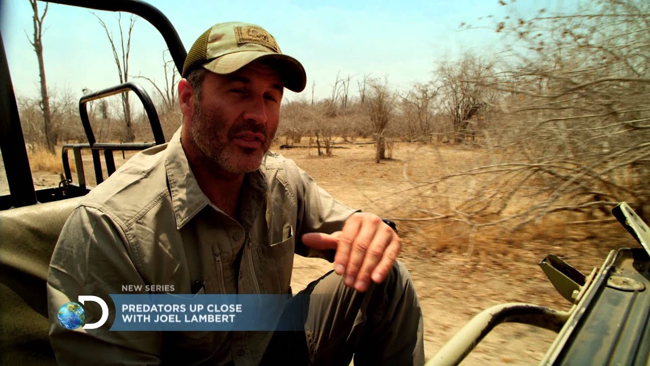 Discovery Channel - November Highlights - YouTube