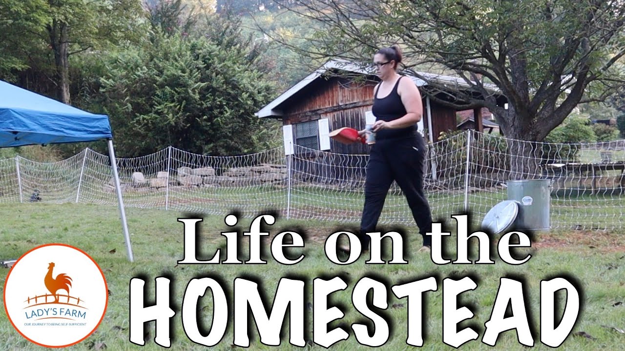 My Homestead Morning Routine // Homestead Day in the Life my full day ...