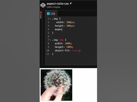 CSS aspect-ratio for auto sizing and layout - YouTube