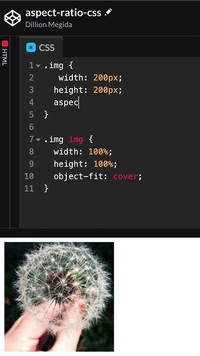 CSS aspect-ratio for auto sizing and layout - YouTube
