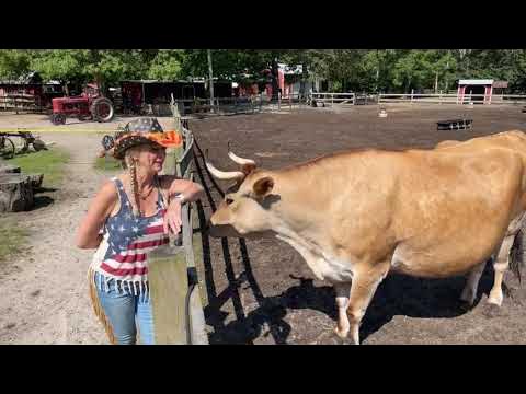 FUNNY FARM LIVE SHOW Episode 110 - YouTube