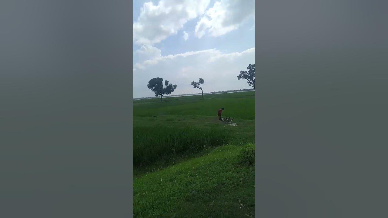 Hamare gaon Ke khet - YouTube