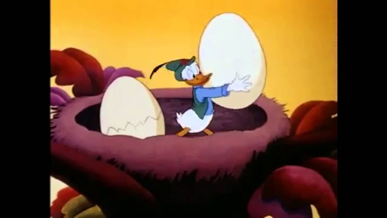Cartoons Donald Duck - Contrary Condor - YouTube