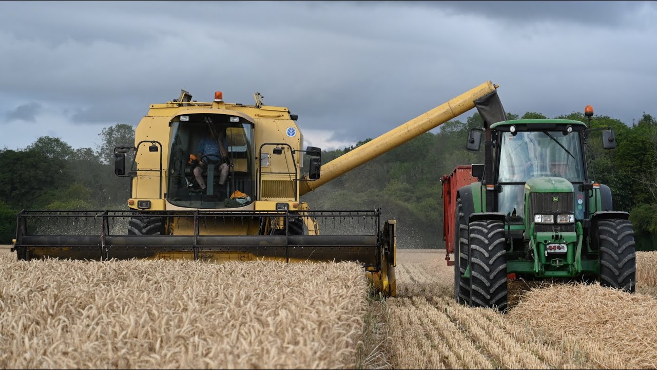 Harvest 2025 - Combining Wheat with New Holland TX63 & John Deere 6930 Carting - YouTube