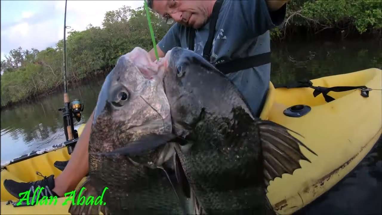 DOS DIAS DE PESCA DE CORVINAS NEGRAS\\Allan Abad - YouTube