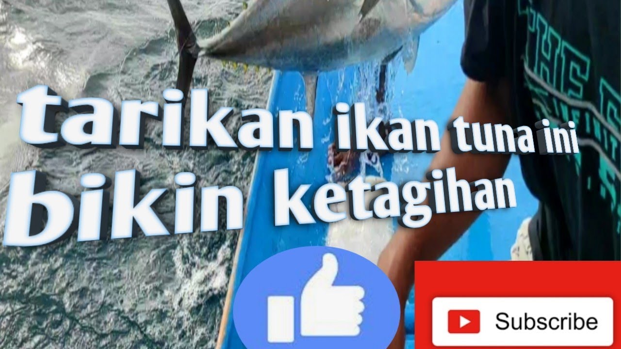 mancing ikan tuna || tarikannya bikin ketagihan para pemancing || - YouTube