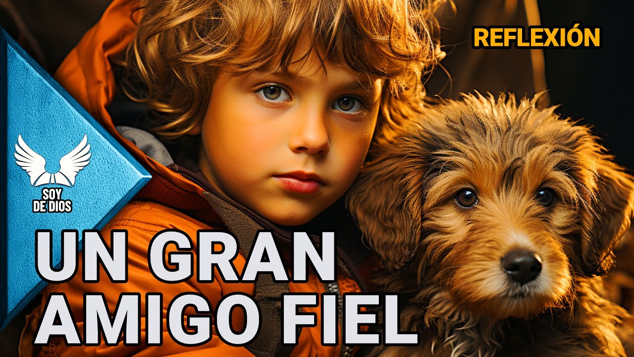 Mi amigo fiel || Reflexión - YouTube