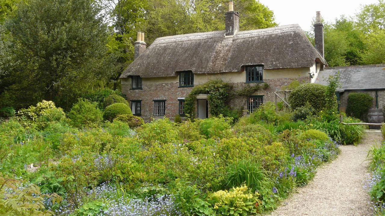 "During Wind and Rain" by Thomas Hardy (read by Tom O'Bedlam) - YouTube