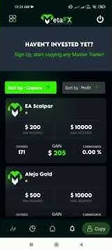 How to copy trade in metaFx? - YouTube