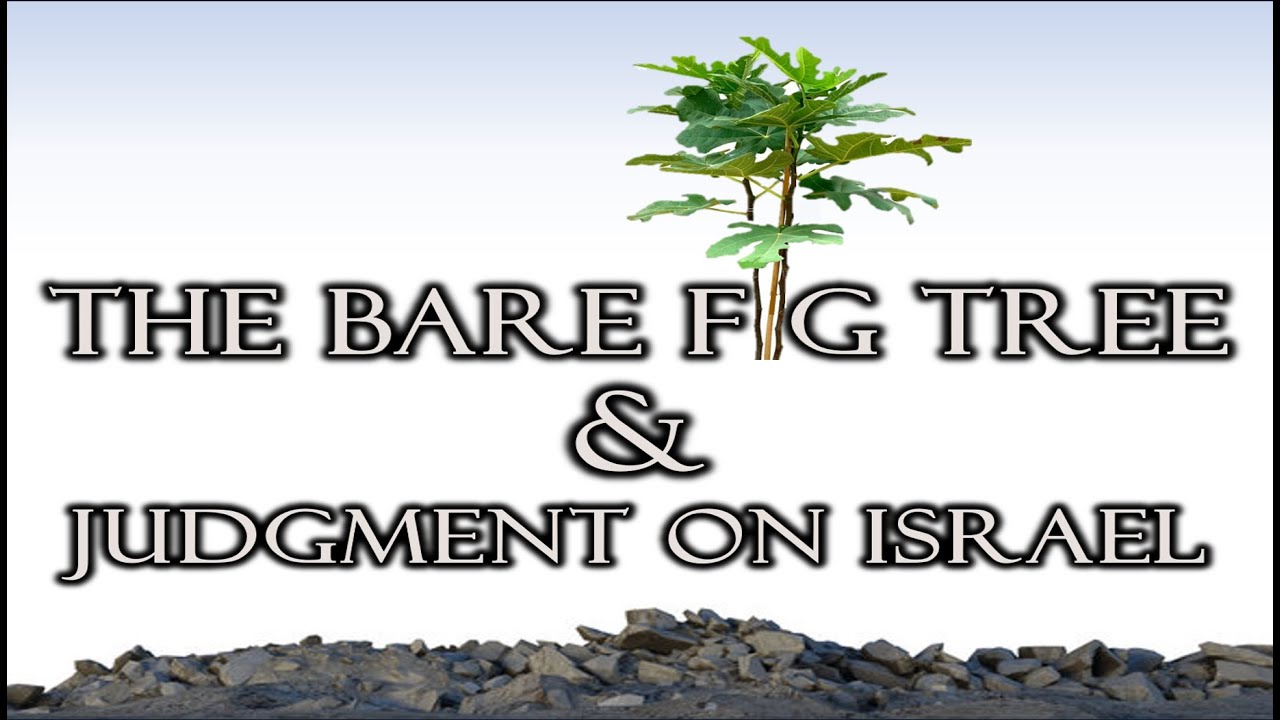 The Fig Tree And Judgment On Israel - YouTube