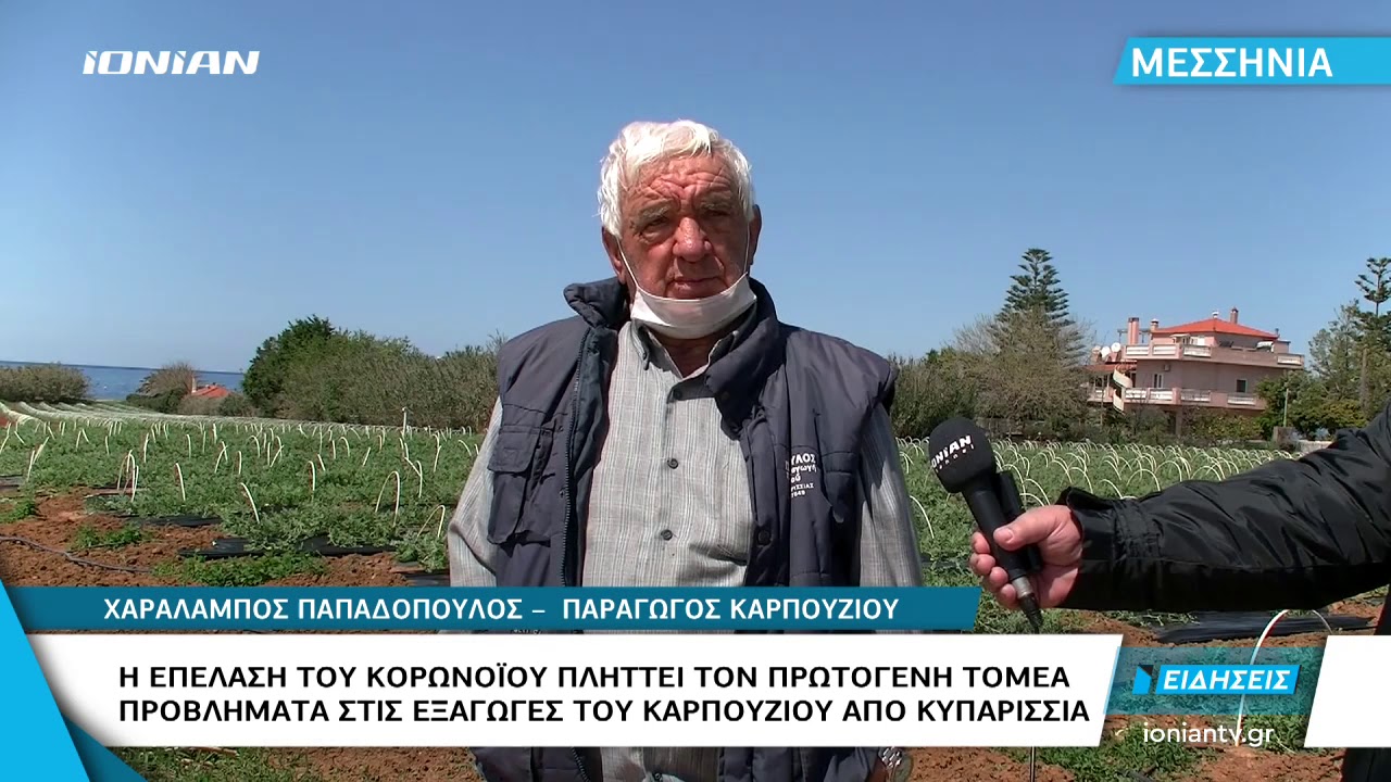 Κυπαρισσία | Ο κορωνοϊος πλήττει τον πρωτογενή τομέα - Προβλήματα στις ...