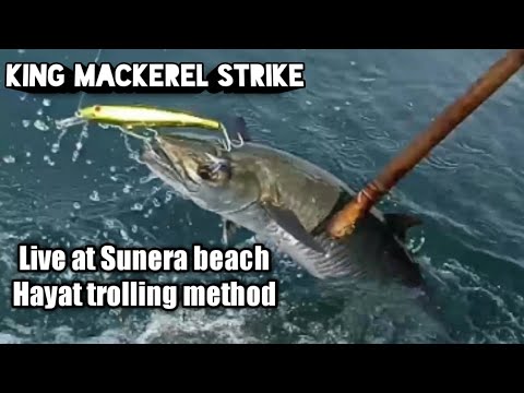Live at sunera beach deep sea hayat trolling method - YouTube
