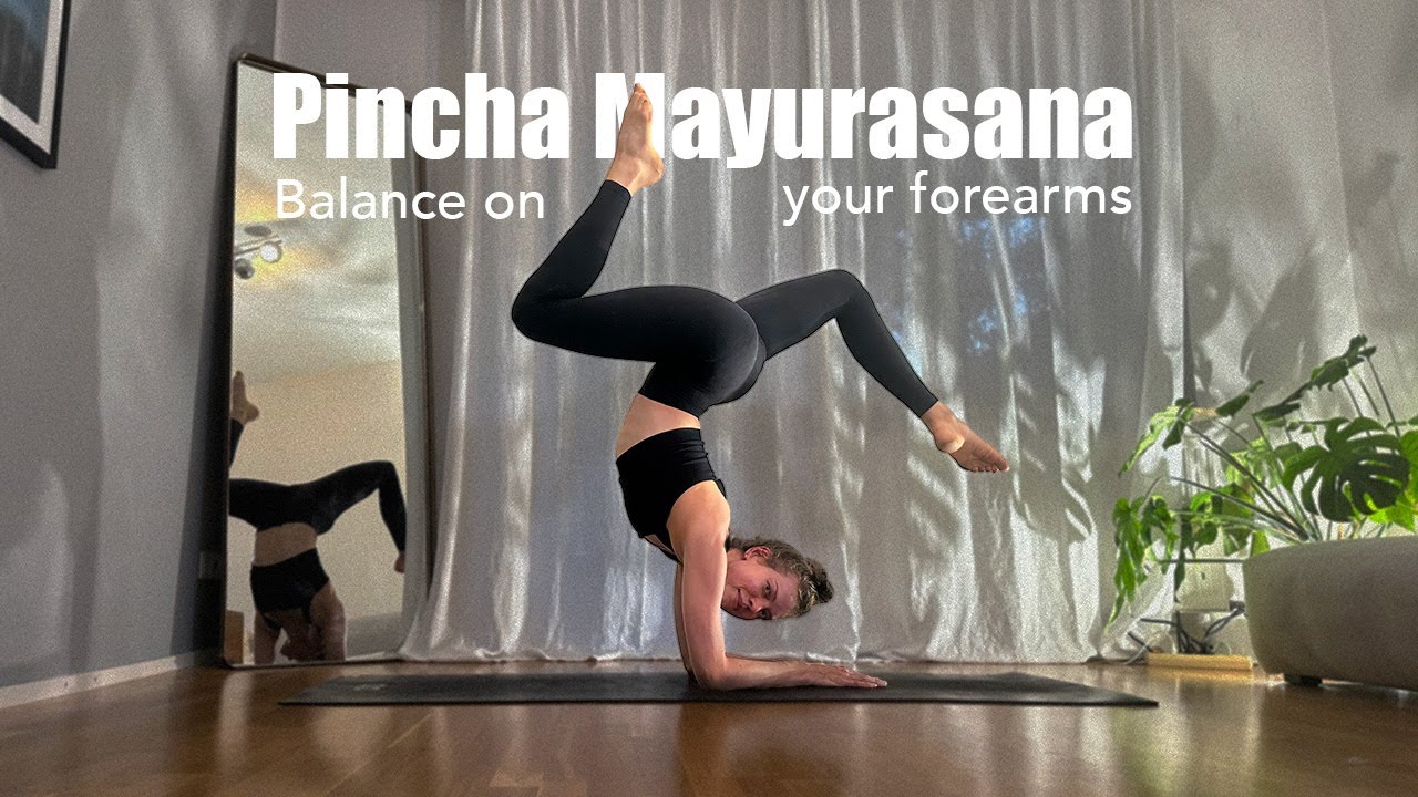 Learn Pincha Mayurasana/ Forearm Stand! Intermediate- Advanced Yoga ...